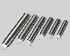 BYPS - Buyoung Việt Nam